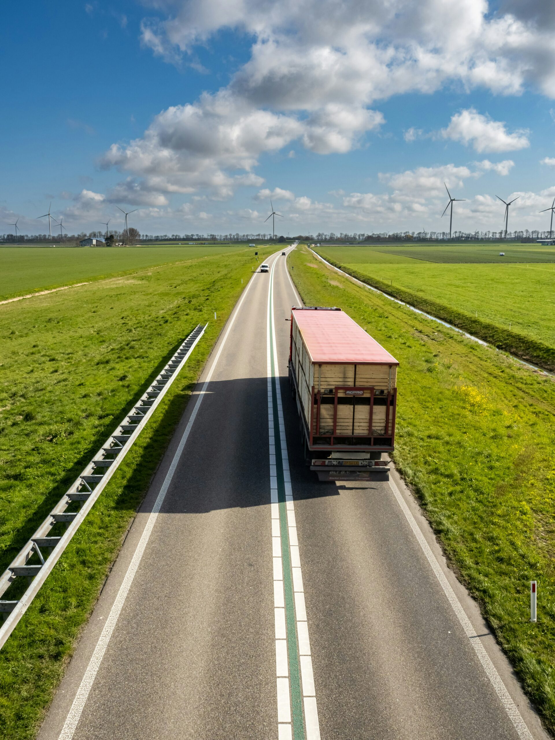 Export Clearance and Export Declarations | Zelir Logistics Ltd